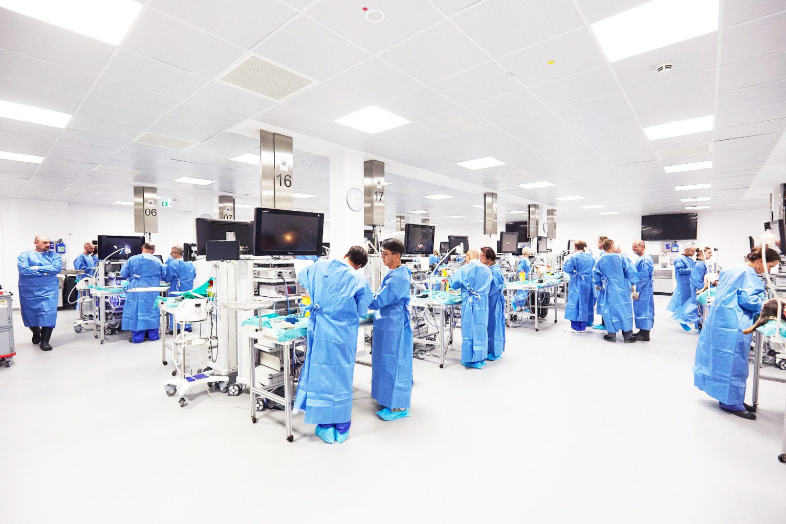 Formation médicale - Arthrex France